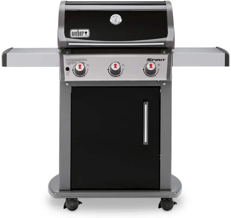 Weber Genesis II E-310 Review - Spicy Salty Sweet