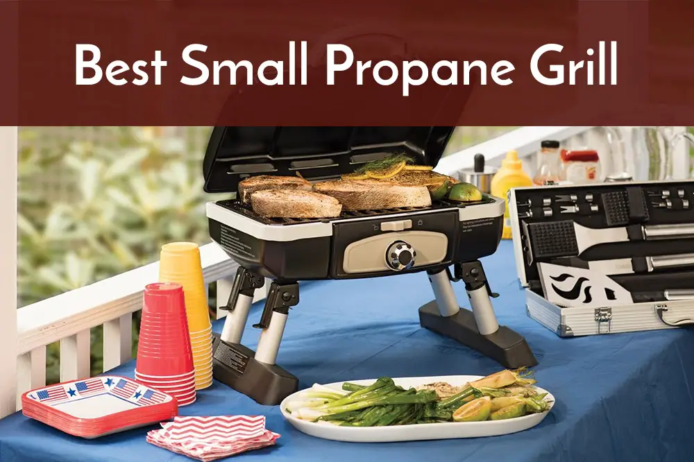 6 Best Small Propane Grill - Buying Guide - Spicy Salty Sweet