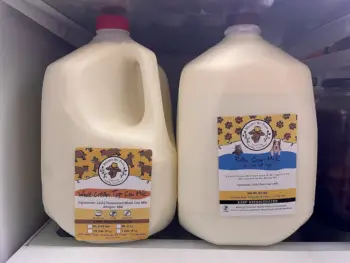 Is Non-Homogenized Milk the Same as Raw Milk?